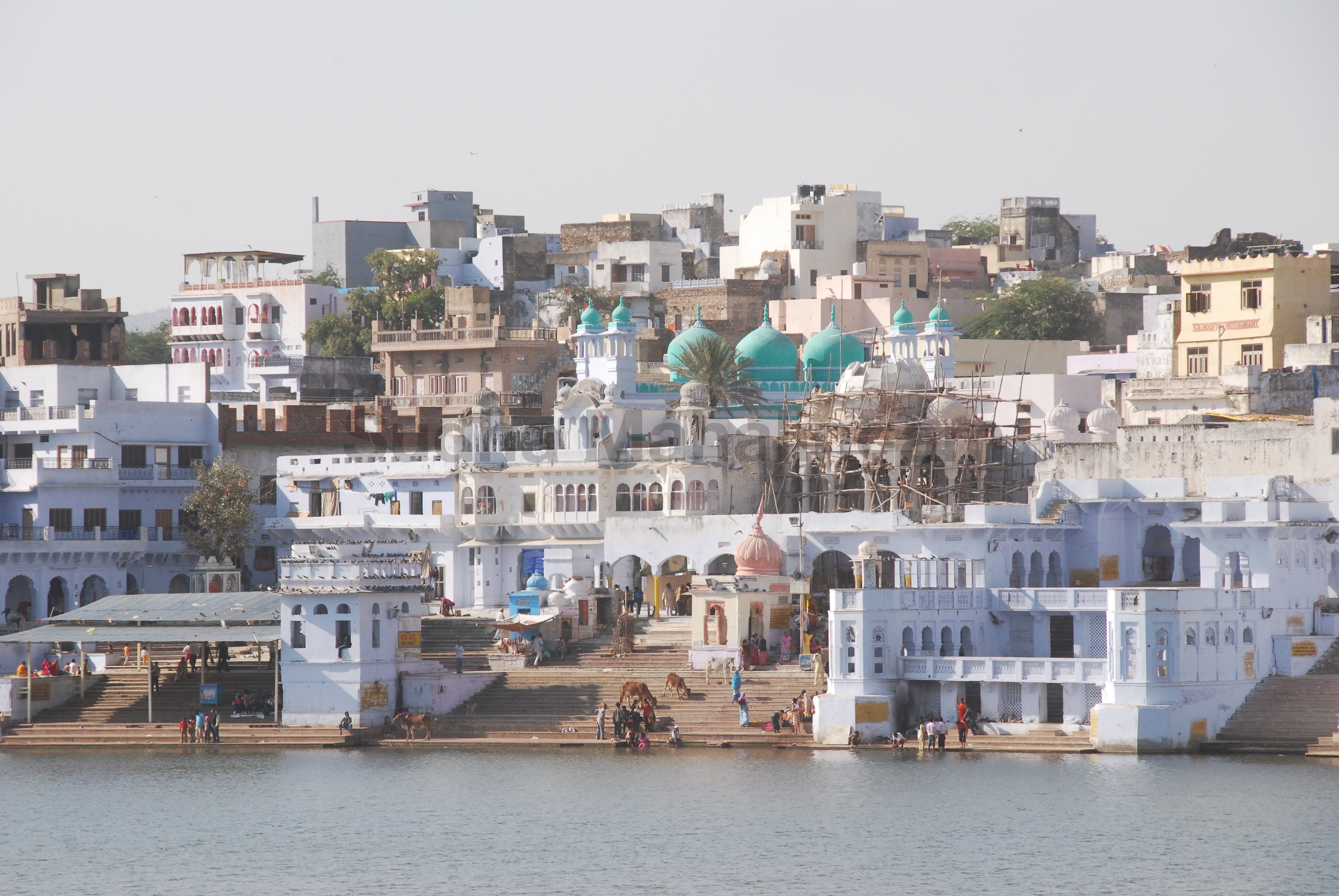 pushk (10) – Footloose Indian